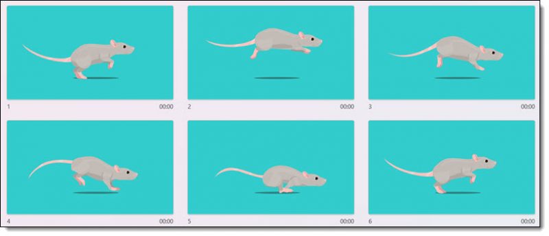 What is a Stop Motion Animation – and How Can PowerPoint Create One ...
